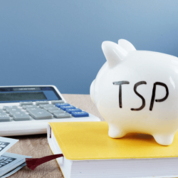 Thrift Savings Plan (TSP) | Public Sector Retirement